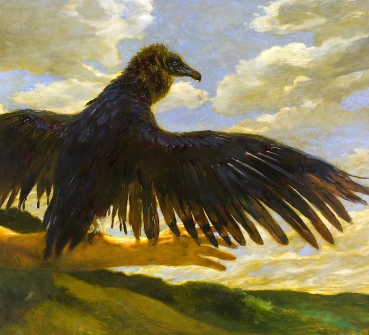 Jamie Wyeth | ORCA BATES (1990) | MutualArt