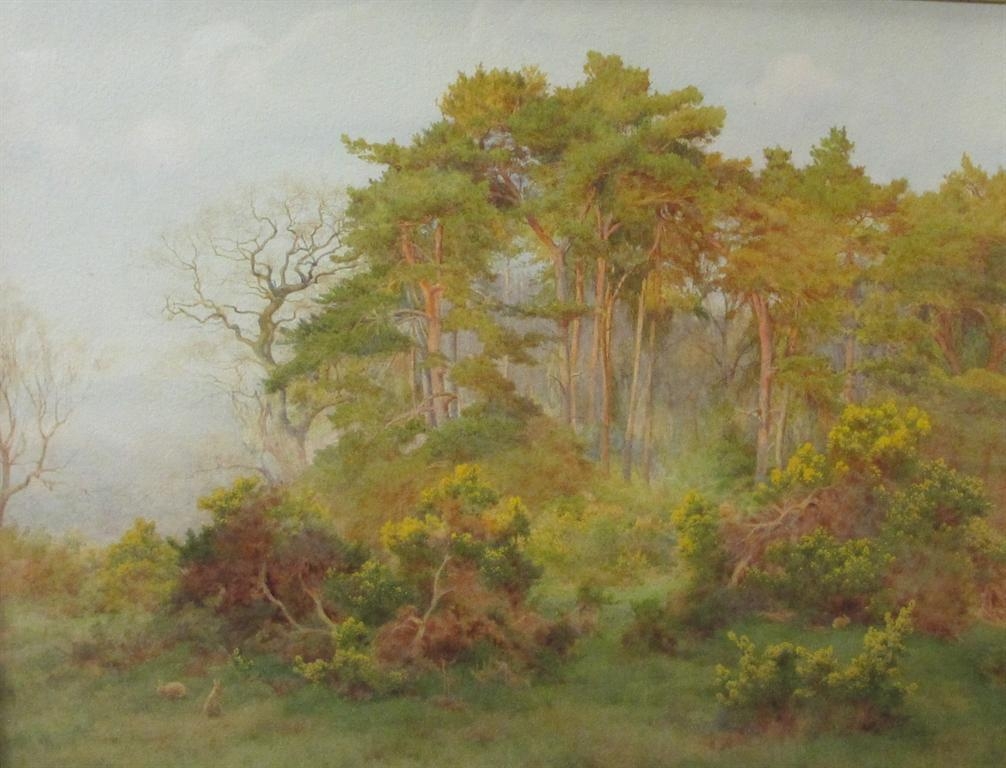 George Marks | Evening Glow | MutualArt