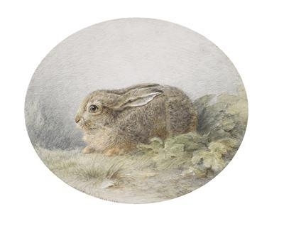 Ludwig Beckmann | A hare | MutualArt