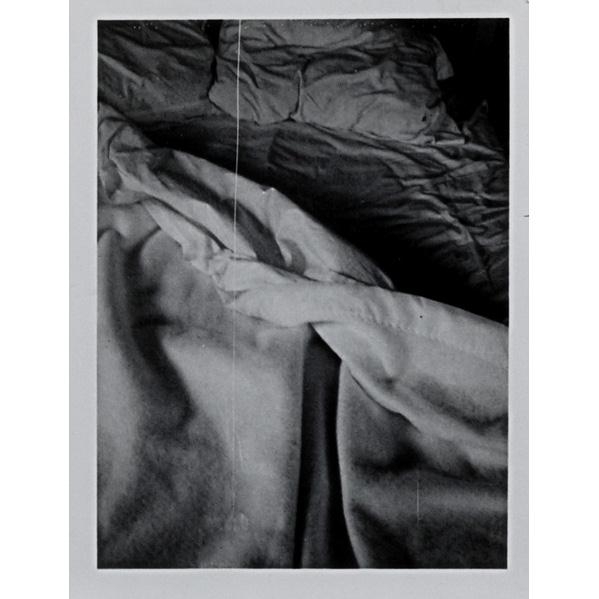 Robert Rauschenberg | Lotus Bed I (The Lotus Series) (2008) | MutualArt