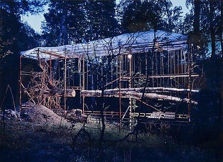 Ilkka Halso | Rollercoaster from 'Museum of Nature', 2004 (2004 ...