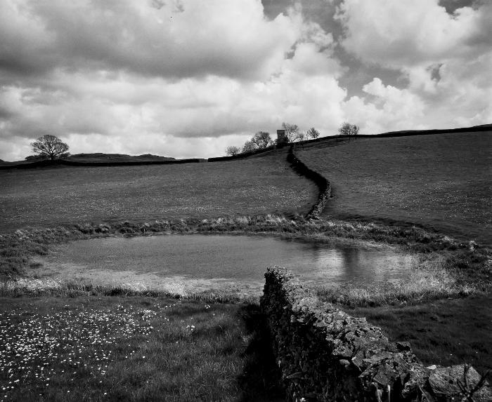 Fay Godwin | RURAL LANDSCAPE | MutualArt