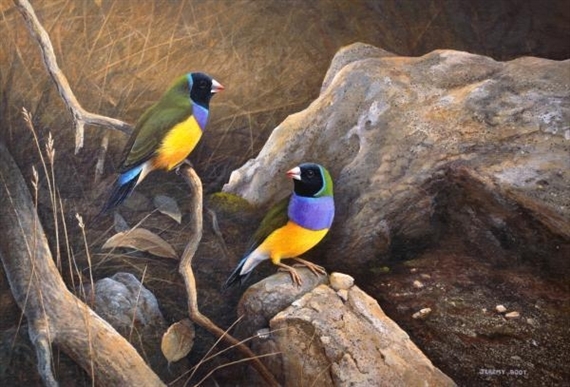 Jeremy Boot | Black Headed Gourdians | MutualArt