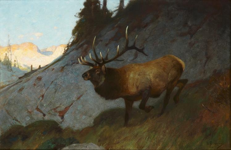 Carl Clemens Moritz Rungius | Olympian Elk | MutualArt