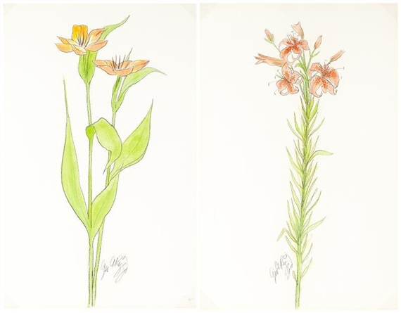 George Rizzo | 2 Artworks | MutualArt