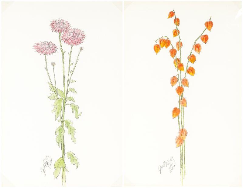 George Rizzo | 2 Works: Zinnia Like; Japanese Lanterns | MutualArt