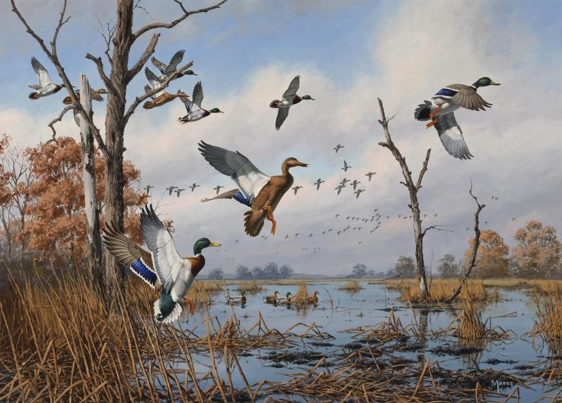 David Maass | Mallards in flight | MutualArt