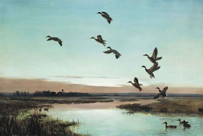 Peter Markham Scott | Mallards jumping (1952) | MutualArt