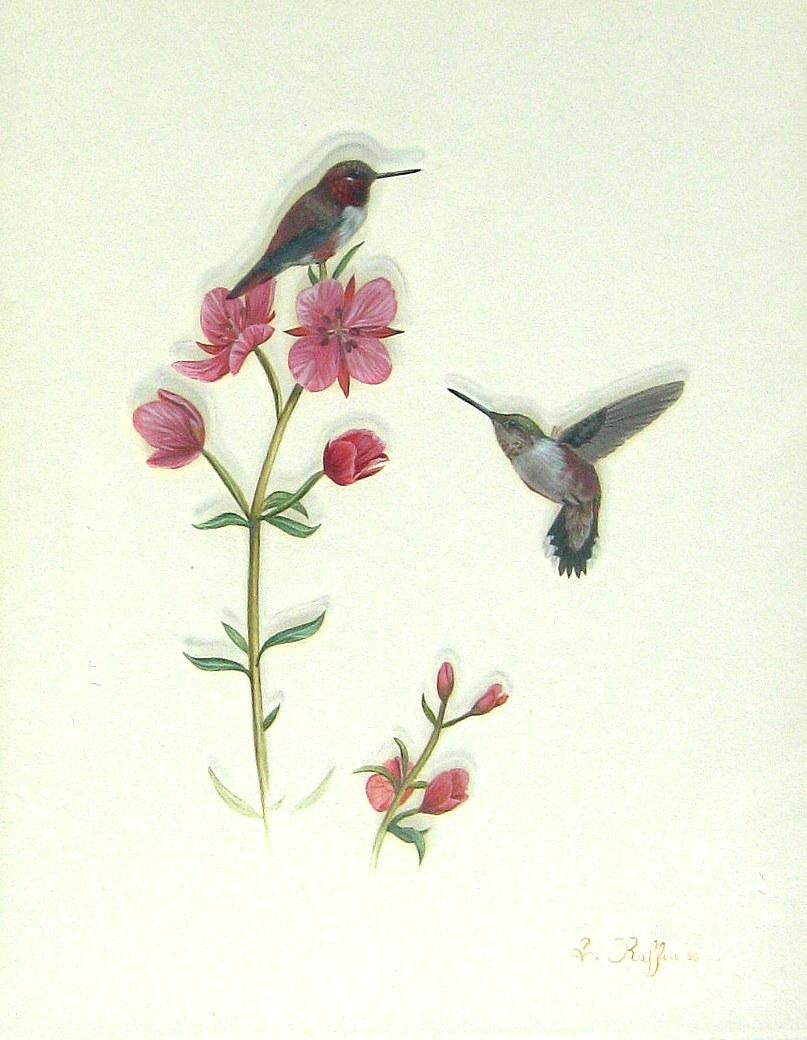Luke Raffin | Hummingbirds | MutualArt