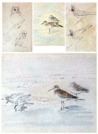 Green Roland | 4 works: Owls; Wading Birds | MutualArt