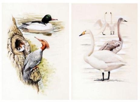 Hilary Burn | 15 Artworks at Auction | MutualArt