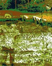 Du Chau | Artist Overview | MutualArt