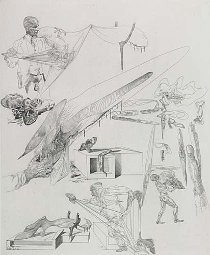 Salvador Dalí | Soft skulls and cranial toothing-stone (1935) | MutualArt