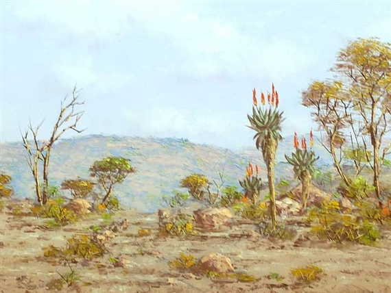 Henry Bredenkamp | Bushveld Landscapes | MutualArt