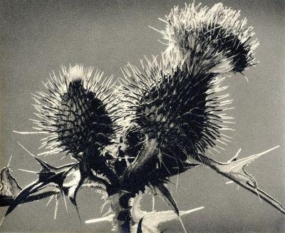 Erich Angenendt | 5 Artworks | MutualArt