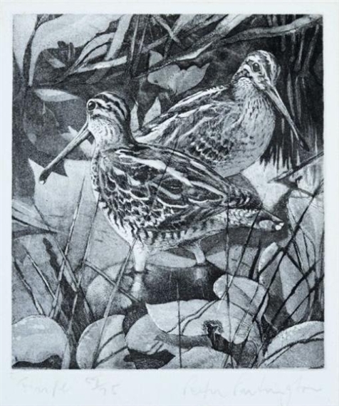 Peter Partington | 136 Artworks at Auction | MutualArt