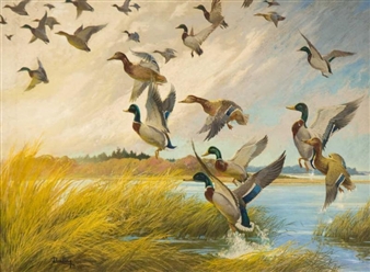 Jay Norwood Darling | 26 Artworks at Auction | MutualArt