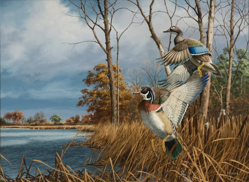 David Maass | Flocks of geese landing in flooded valley | MutualArt