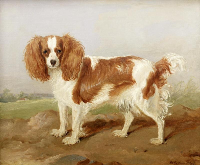 Martin Theodore Ward | A brown and white spaniel in a landscape (1823 ...