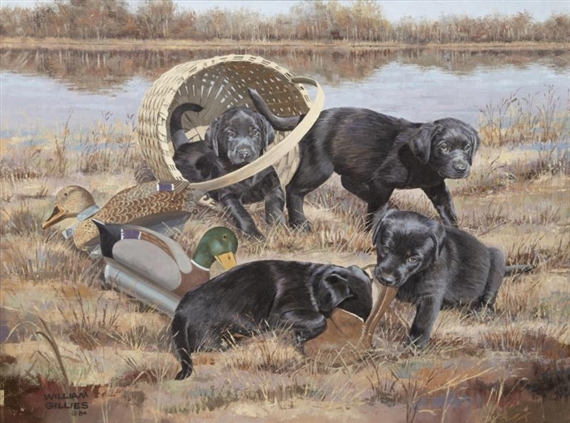 Bill Gillies | Black Labrador puppies at play with decoys | MutualArt