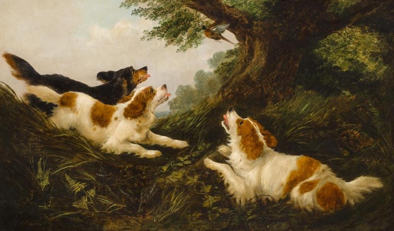 John Mearns | Spaniels flushing game | MutualArt