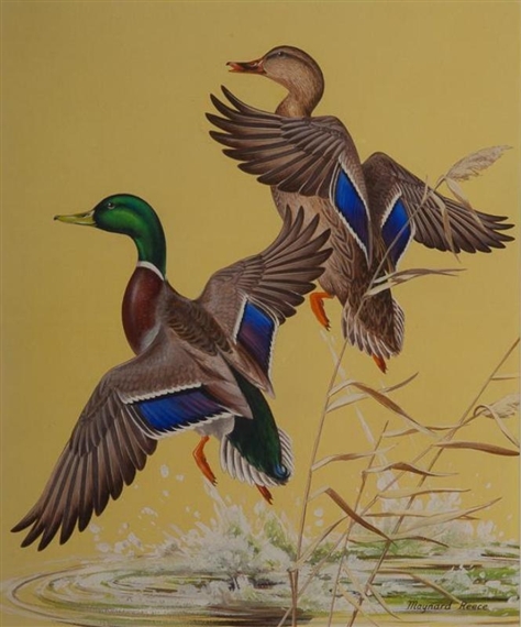 Reece Maynard | Mallard Pair | MutualArt
