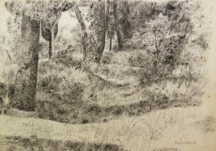 Reginald Brill | Path in the woods | MutualArt