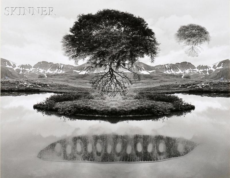 Jerry Uelsmann | Untitled (Floating Tree) (1969) | MutualArt