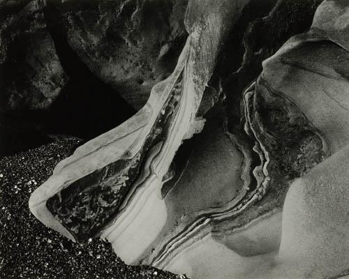 Edward Weston | Point Lobos (1932) | MutualArt