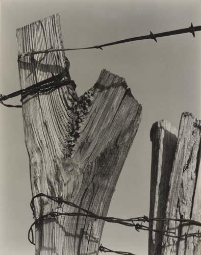 Ralph Steiner | Untitled (Circa 1930) | MutualArt