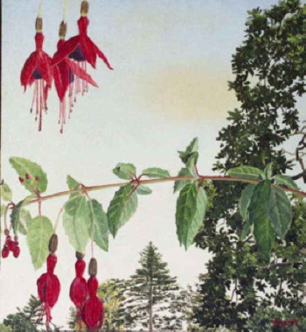 Tim Goulding | Fuchsia (1979) | MutualArt