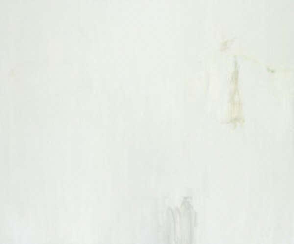 Pat Harris | Flower (2006) | MutualArt