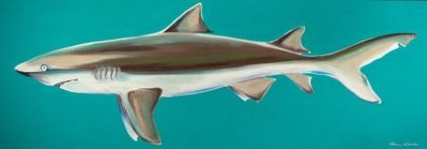 Ken Luce | 12 Artworks | MutualArt