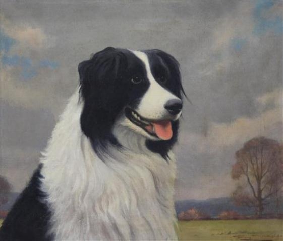 Roy Nockolds | Portrait of a collie | MutualArt