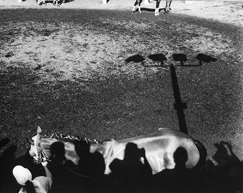 Noelle Tan | Biography