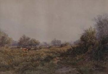 David Law | Landscape with cattle | MutualArt