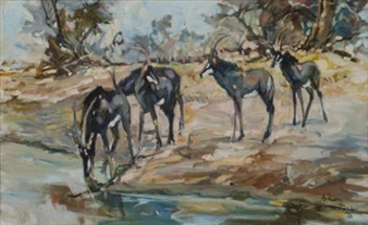 Johan Grobler | Art Auction Results