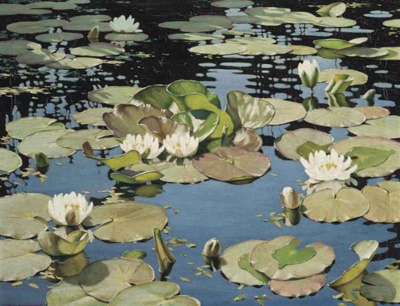 Charles Oppenheimer | Water lilies | MutualArt