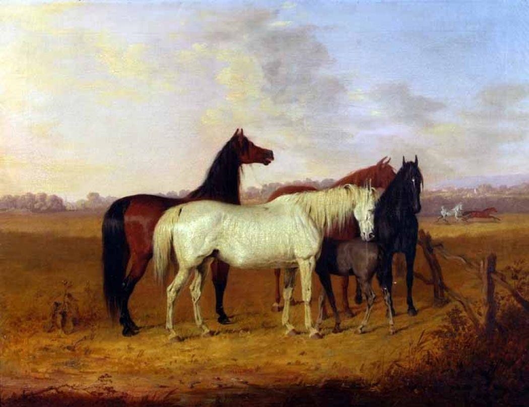 Henry Calvert | A group of Horses in Open Landscape (1836) | MutualArt