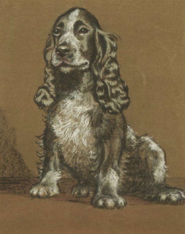 Alice Barnwell | 2 works: Goldie | MutualArt