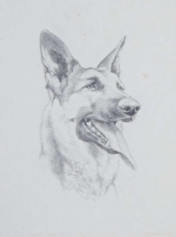 Alice Barnwell | 2 works: Goldie | MutualArt