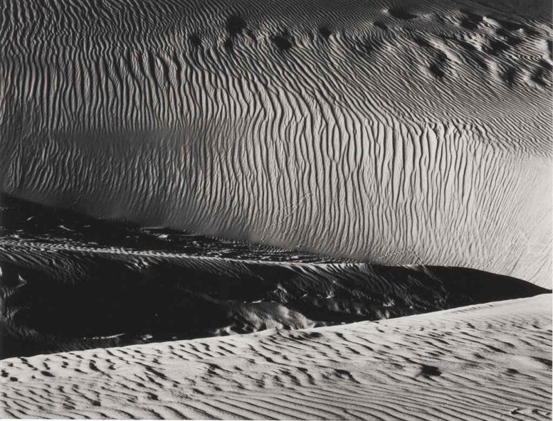 Edward Weston | Dunes, Oceano | MutualArt