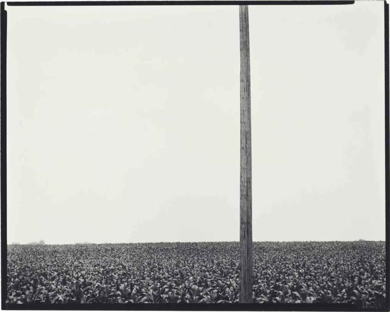 Harry Callahan | In Chicago | MutualArt