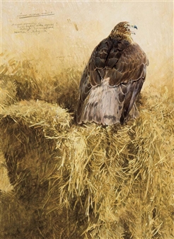 Raymond Harris Ching | Crested Pigeons | MutualArt