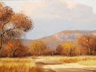Thomas Hacking | Bushveld Landscapes | MutualArt