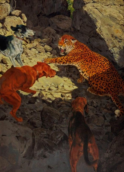 Doug Allen | Biography