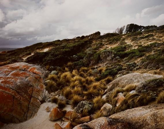 Peter Solness | 17 Artworks at Auction | MutualArt