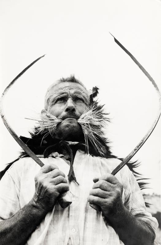Franco Pinna | The game of the sickle, San Giorgio Lucano, Matera (1952 ...