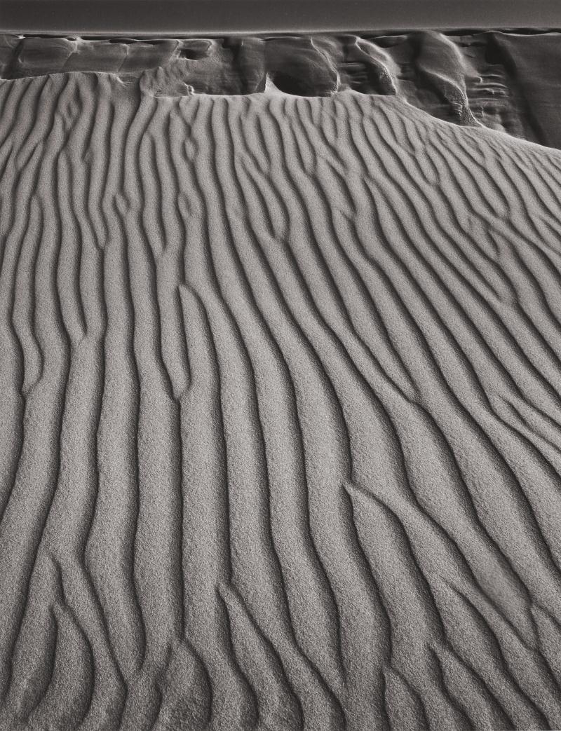 Ansel Adams | Sand Dunes, Oceano, California | MutualArt