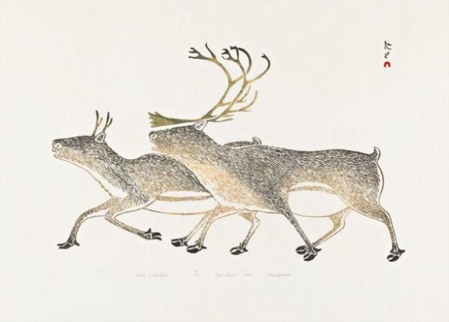 Kananginak Pootoogook | Tuktu of Tasikjuak (1973) | MutualArt